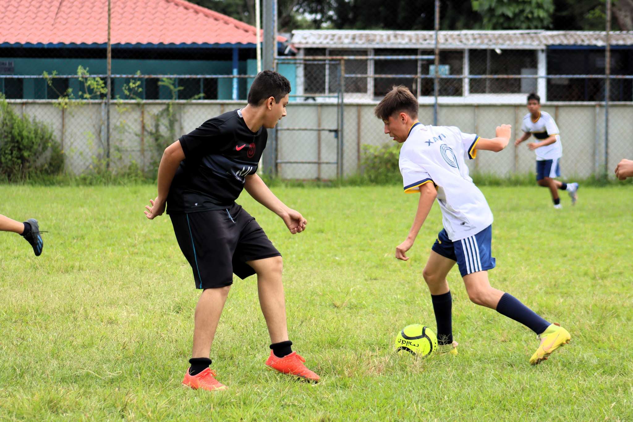 Página Principal | Liceo